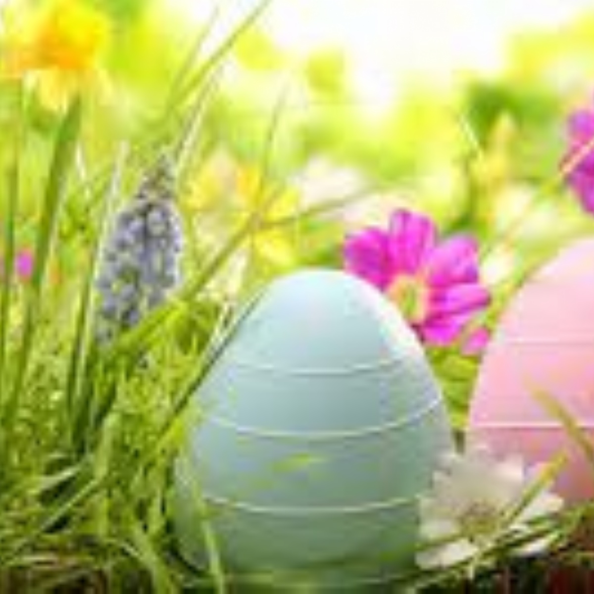Borden Grammar School - Happy Easter