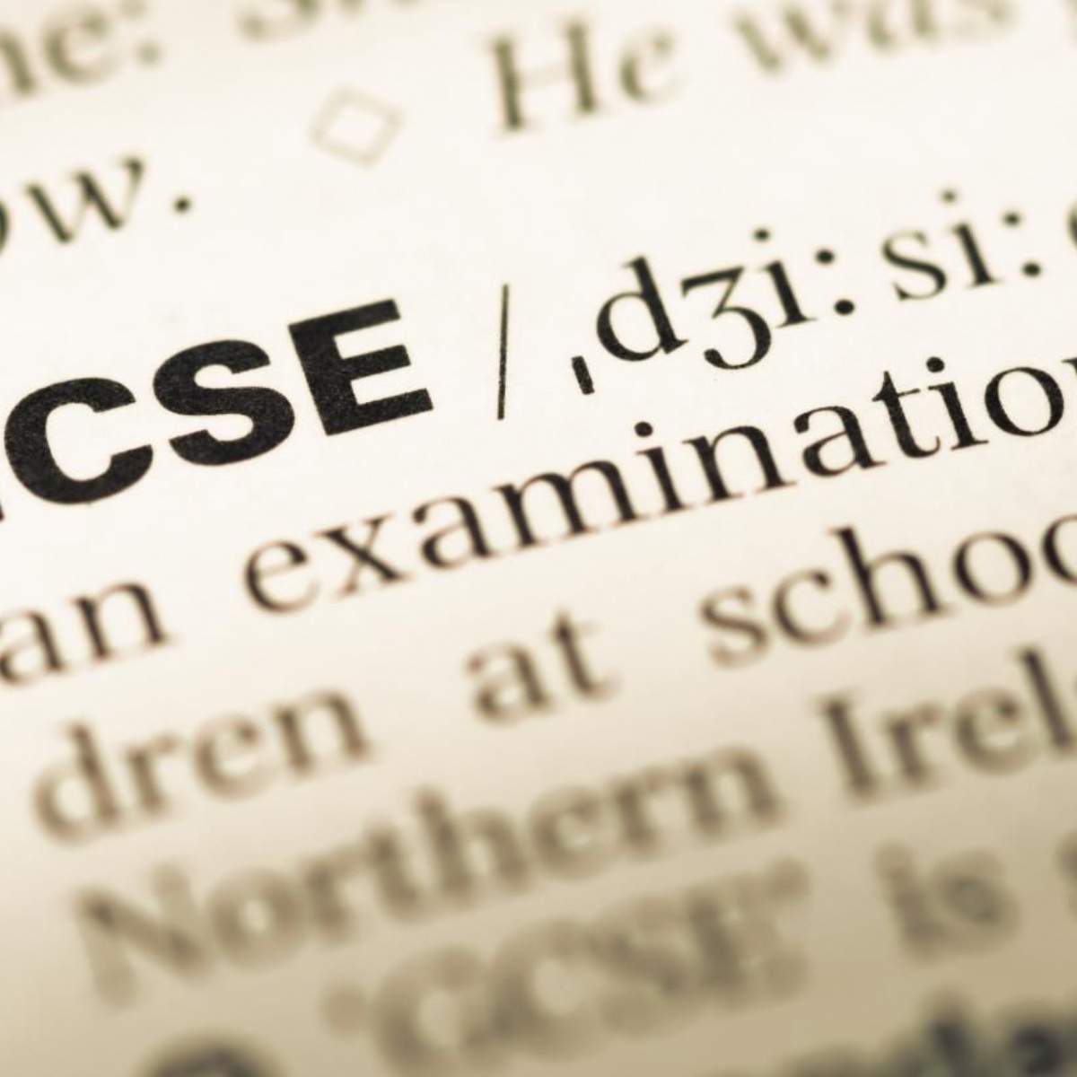 Borden Grammar School - GCSE Certificates